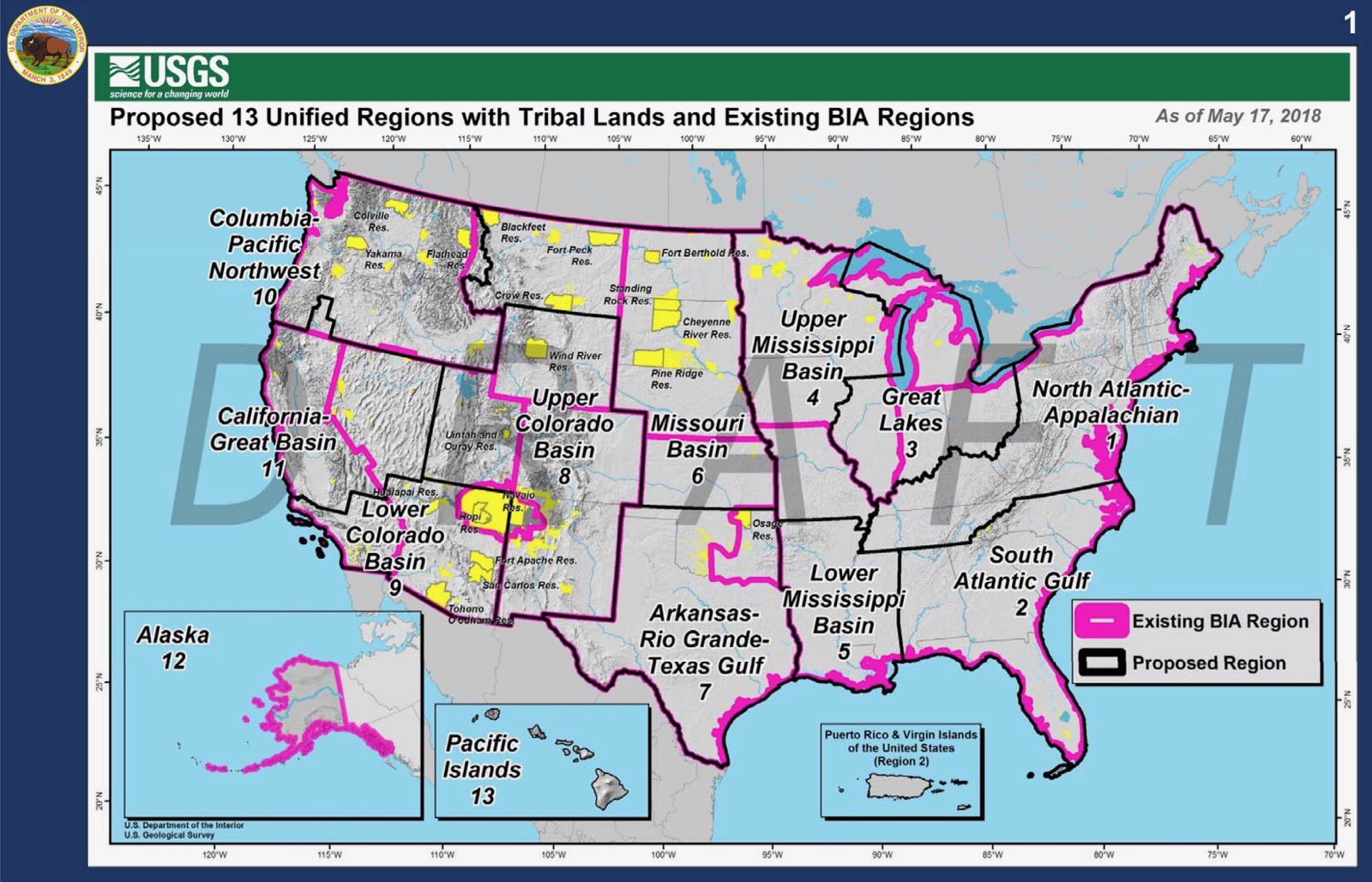 'You know, Andrew Jackson': Hearing scheduled into Trump reorganization