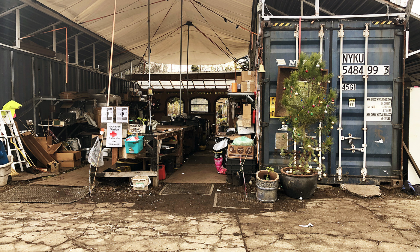 YES! Magazine: Indigenous women reclaim ancestral land in California