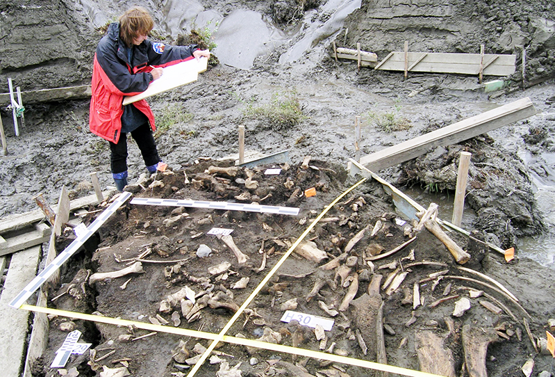 Studies attempt to shed light on ancestors of Native peoples