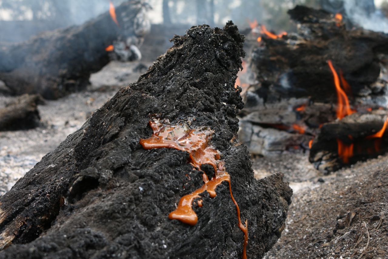 Cronkite News: Wildfire near Hopi Reservation remains under control