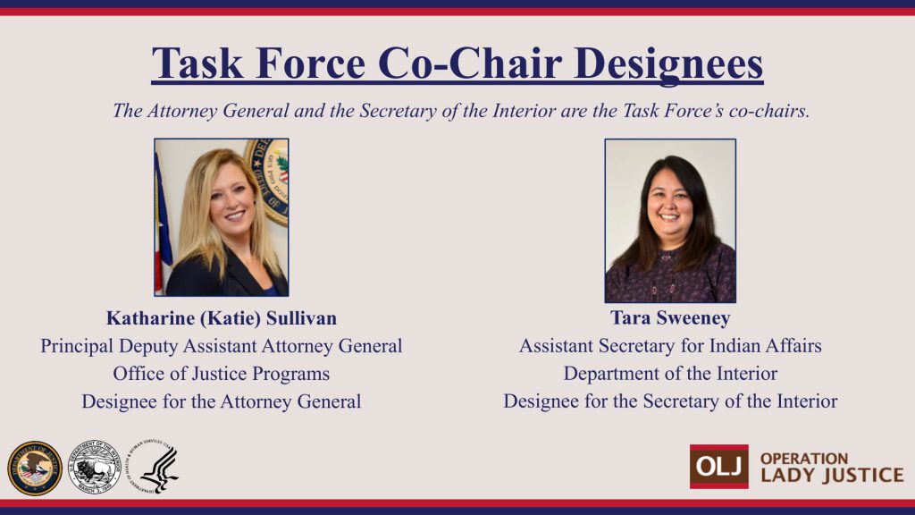 Presidential Task Force on Missing and Murdered American Indians and ...